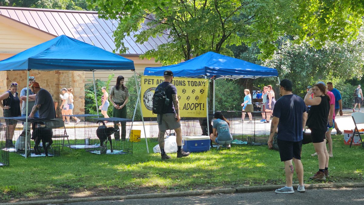 Shelter Prepares For Reopening – Parke County Sentinel